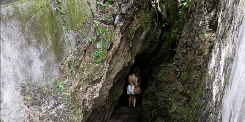 From Bali Port: Cultural and Nature Guided Day Tour - Who Is This Tour Best For?