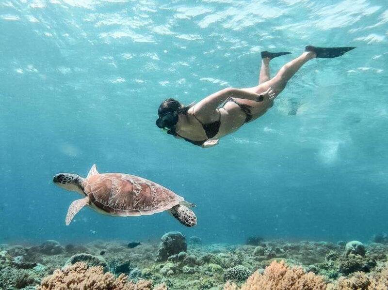 From Bali: Private Gili Islands Snorkeling All-Inclusive - Overview of What You Can Expect