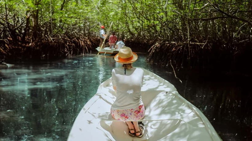 From Bali: Sail, Snorkel, & Mangrove Tours to Nusa Lembongan - Key Points