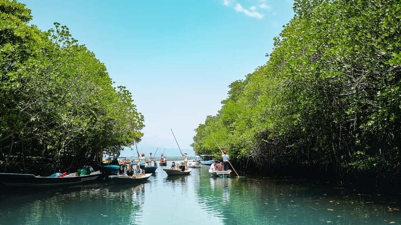 From Bali: Sail, Snorkel, & Mangrove Tours to Nusa Lembongan - Final Thoughts: Is This Tour Right for You?