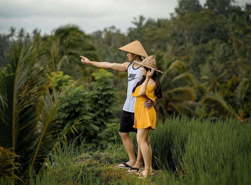 From Bali: Saraswati Temple, Monkey Forest, Ubud Waterfalls - Key Points