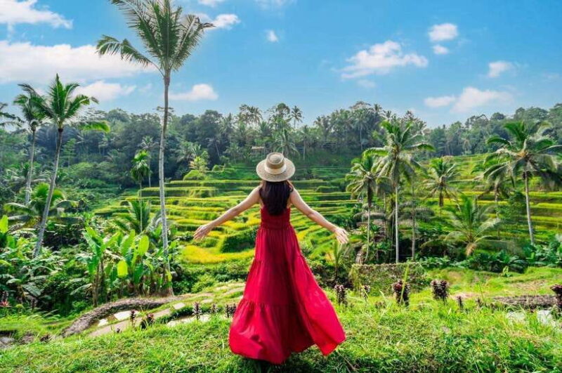 From Bali: Saraswati Temple, Monkey Forest, Ubud Waterfalls - Who Will Appreciate This Tour?