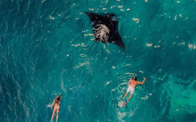 From Bali: Snorkeling 3 Spots To Nusa Penida & Lembongan - What Makes This Tour a Good Value?