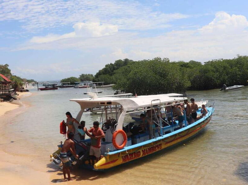 From Bali: Snorkeling 3 Spots To Nusa Penida & Lembongan - The Sum Up: Is It Worth It?