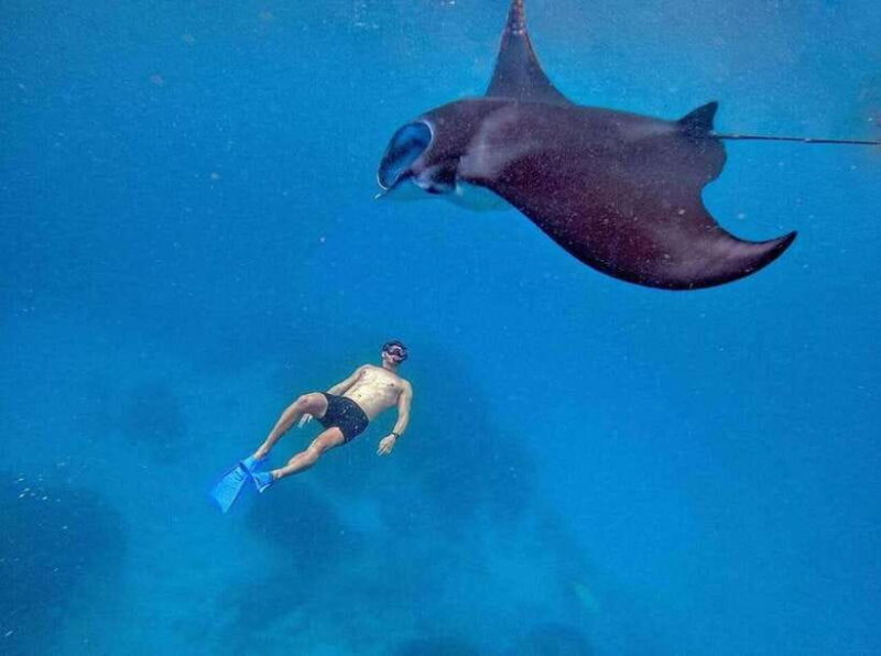 From Bali: Snorkeling 3 Spots with GoPro & West Penida Tour - A Closer Look at the Itinerary