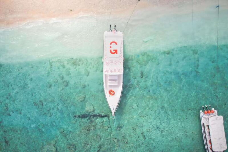 From Bali: Snorkeling 3 Spots with GoPro & West Penida Tour - Transport & Guides