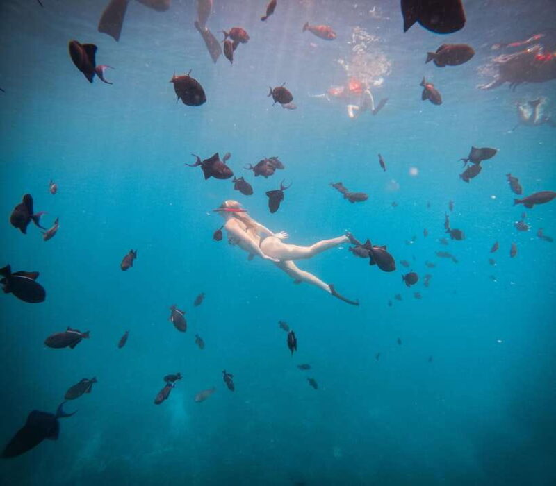 From Bali: Snorkeling 3 Spots with GoPro & West Penida Tour - Who Is This Tour Best For?