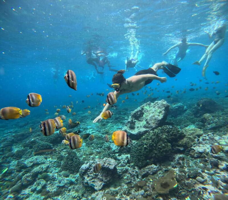 From Bali: Snorkeling at Manta Point Nusa Penida & Land Tour - FAQs