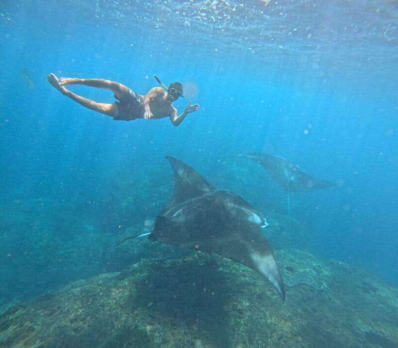 From Bali : Snorkeling & Nusa Penida Island Tour with Lunch - From Bali: Snorkeling & Nusa Penida Island Tour with Lunch – A Detailed Look