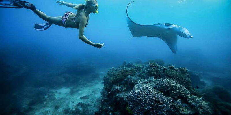From Bali: Swim with Manta Rays in Nusa Penida - Key Points
