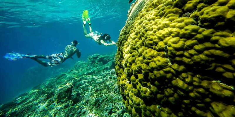 From Bali: Swim with Manta Rays in Nusa Penida - What Makes This Tour Stand Out