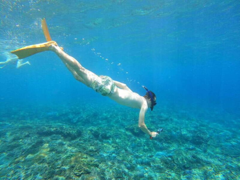 From Bali: Swim with Manta & T-rex Beach All inclusive Tour - Key Points