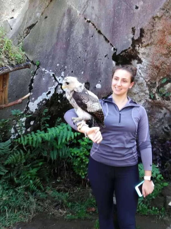 From Bali - Yogyakarta: 8-Days Bali - Java Tour Explore - Key Points