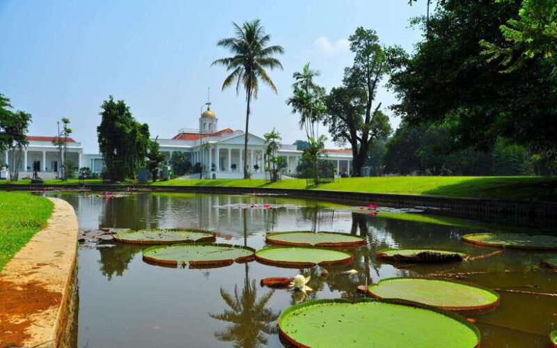 From Bandung: Tea Plantation and Botanical Garden Tour - Transportation and Pricing: What You Need to Know