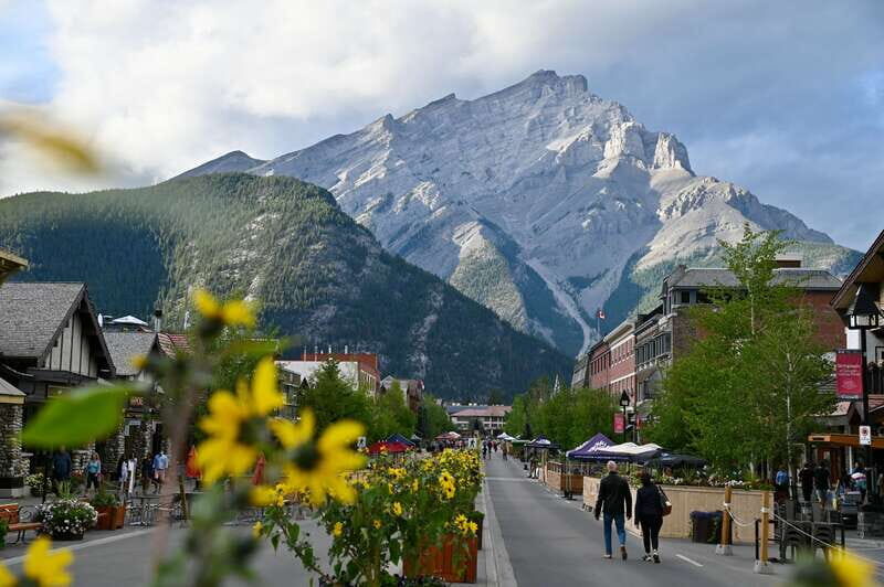 From Banff: Banff Wildlife & Scenic Highlights Premium Tour - Key Points