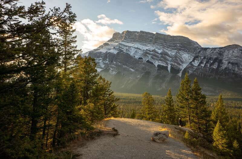 From Banff: Banff Wildlife & Scenic Highlights Premium Tour - The Itinerary: What You Can Expect