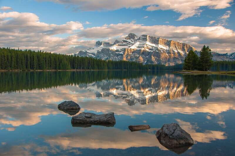 From Banff: Banff Wildlife & Scenic Highlights Premium Tour - Price and Value