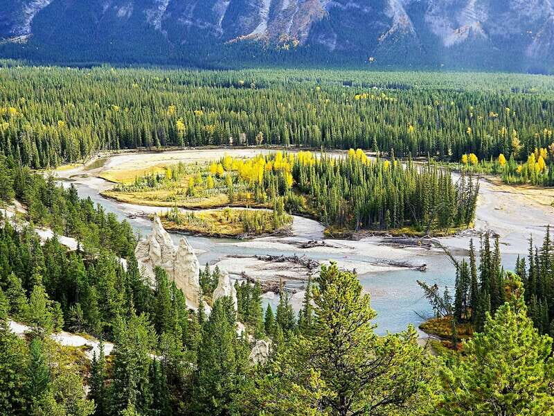 From Banff/Canmore: Deep 1 Day Tour in Banff National Park - Exploring Banff on a Guided Day Tour: What to Expect
