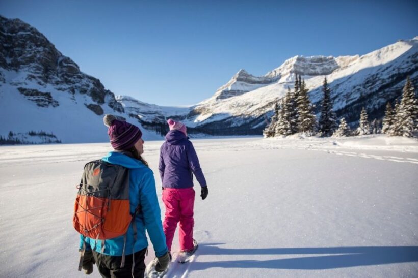 From Banff: Icefields Parkway & Abraham Lake Ice Bubbles - An In-Depth Look at the Tour Experience