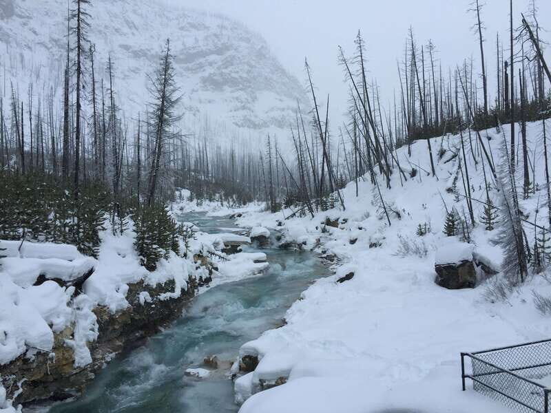 From Banff: Marble & Johnston Canyon Icewalk Combo - Authentic Experiences and Guest Feedback