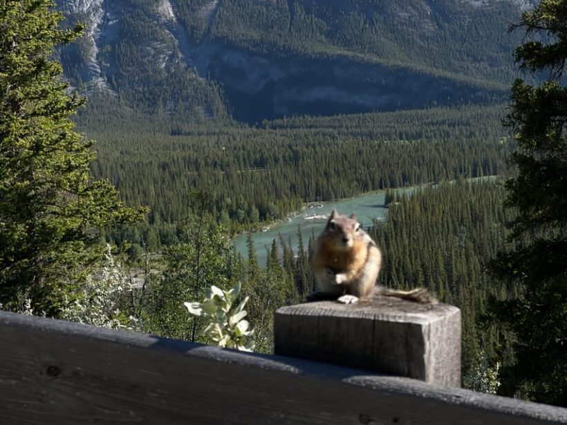From Banff: Moraine Lake and Lake Louise Half Day Tour - FAQs