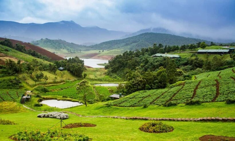 From Bangalore: 7 Days Coorg & Hassan Heritage Private Tour - An In-Depth Look at the 7-Day Karnataka Journey