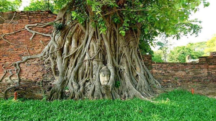 From Bangkok: Ayutthaya 2 Days 1 Night Heritage Escape - Key Points