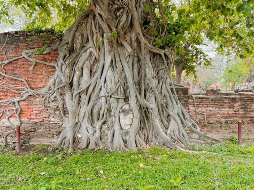 From Bangkok: Ayutthaya 5 Temples - Private Tour - Final Thoughts