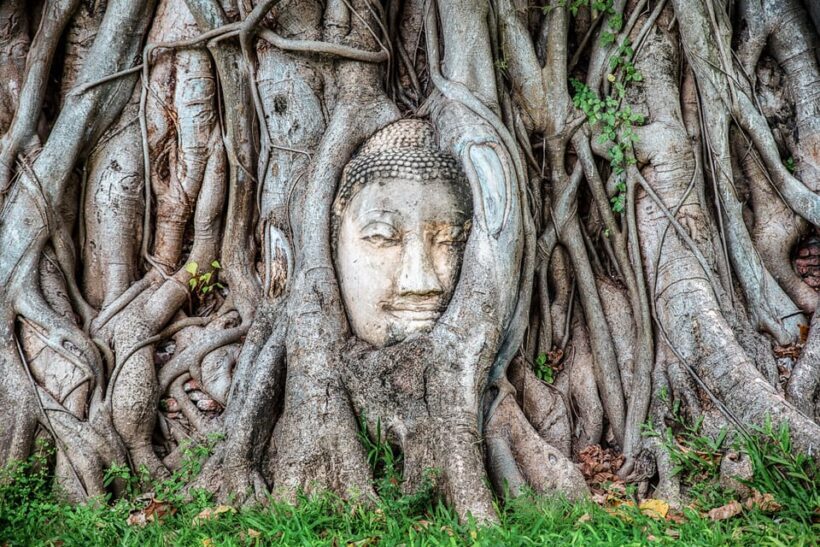 From Bangkok: Ayutthaya & Ayothaya Floating Market Day Trip - Practical Tips for Visitors