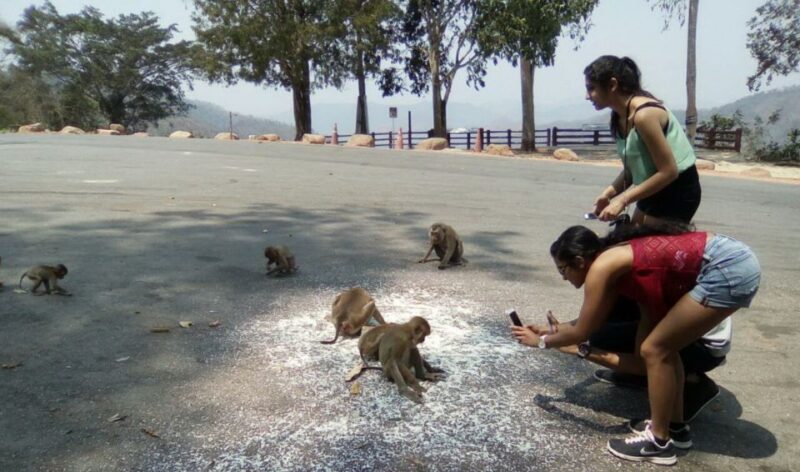 From Bangkok: Ayutthaya & Khao Yai National Park Day Trip - The Experience: What Makes It Special