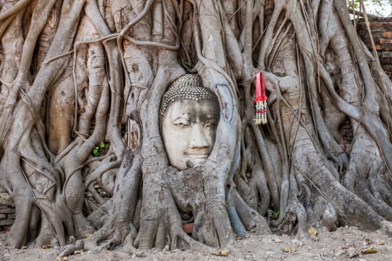 From Bangkok: Ayutthaya Private Full-Day UNESCO Trip - Who Should Consider This Tour?