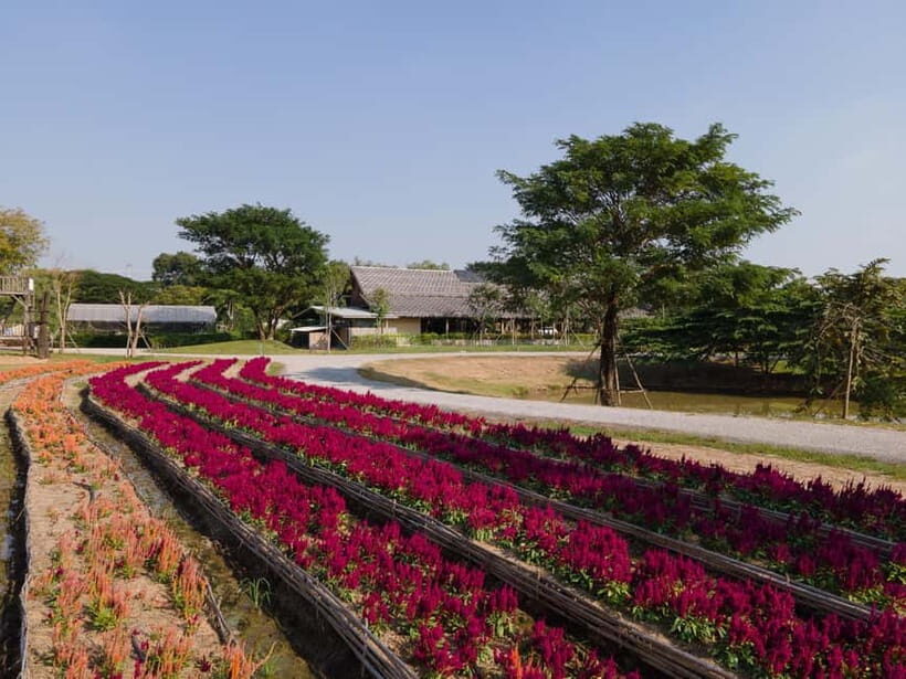From Bangkok: Ayutthaya Temples & Gallery Boathouse Tour - Key Points