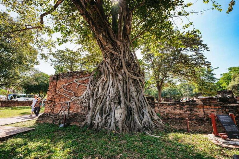 From Bangkok: Ayutthaya Temples Guided Tour with Lunch - Exploring the Itinerary: What to Expect