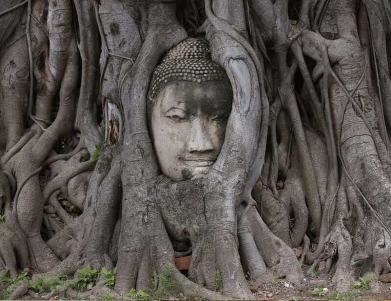 From Bangkok: Customizable Ayutthaya Full-Day Guided Tour - Frequently Asked Questions