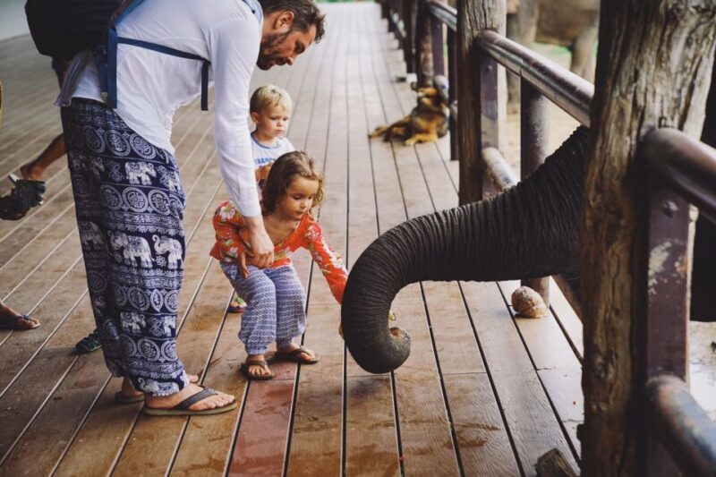 From Bangkok: ElephantsWorld Kanchanaburi 2-Day Experience - Practical Tips for Future Travelers