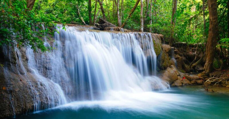 From Bangkok: Erawan Park & Elephant Feeding Private Tour - Who Should Consider This Tour?
