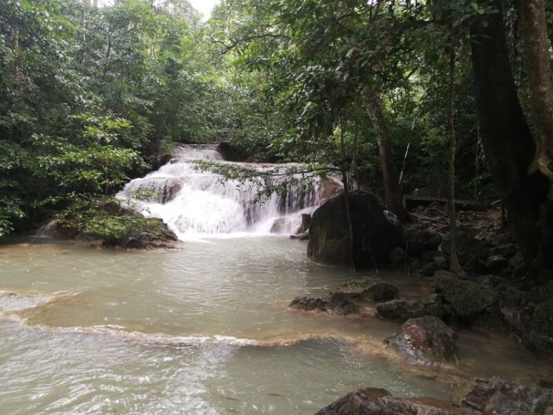 From Bangkok: Erawan Park & Elephant Feeding Private Tour - FAQ