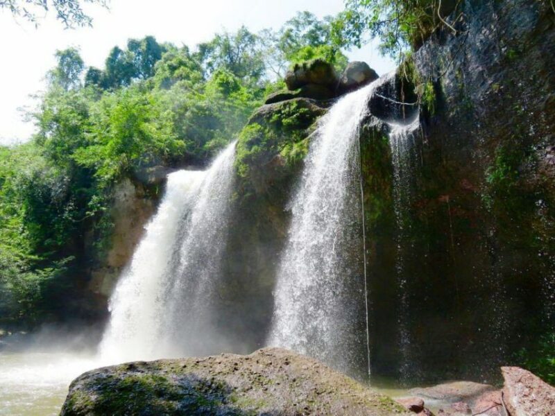 From Bangkok: Khao Yai National Park Jungle Trek with Lunch - Key Points