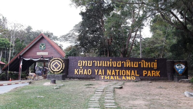 From Bangkok: Khao Yai National Park Jungle Trek with Lunch - The Experience in Perspective