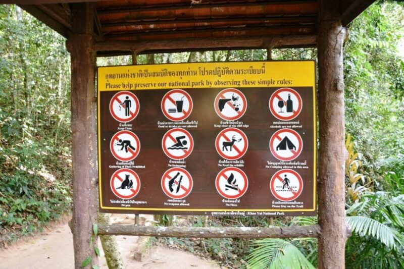 From Bangkok: Khao Yai National Park Jungle Trek with Lunch - Who Will Enjoy This Tour?