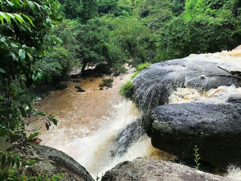 From Bangkok: Khao Yai National Park Jungle Trek with Lunch - Final Thoughts: Is It Worth It?