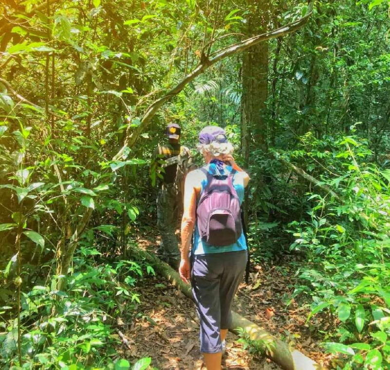 From Bangkok: Khao Yai National Park Small-Group Day Trip - The Value and Practicalities