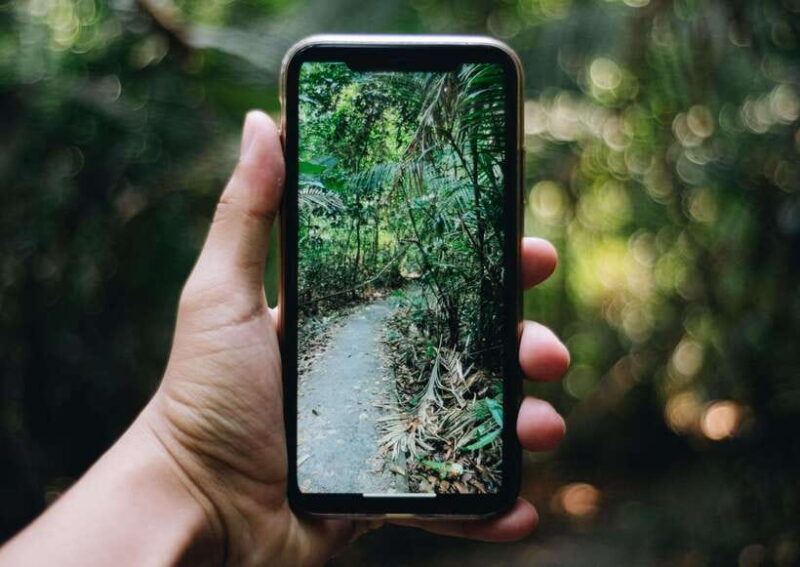 From Bangkok: Khao Yai National Park Small-Group Day Trip - Final Thoughts: Who Should Consider This Tour?