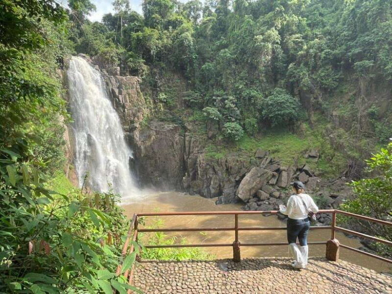 From Bangkok: Khao Yai Spectacular Waterfalls Day Trip - Key Points