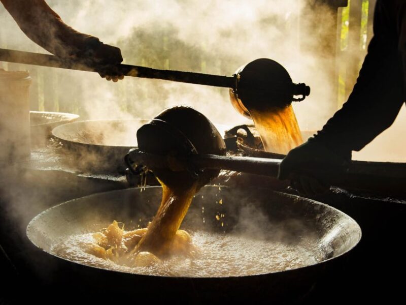 From Bangkok: Maeklong Railway and Floating Market Day Tour - Final Thoughts