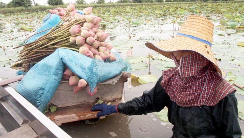 From Bangkok: Mahasawat Canal and farm with Lunch - An Authentic Day with Rural Flavour and Scenic Views