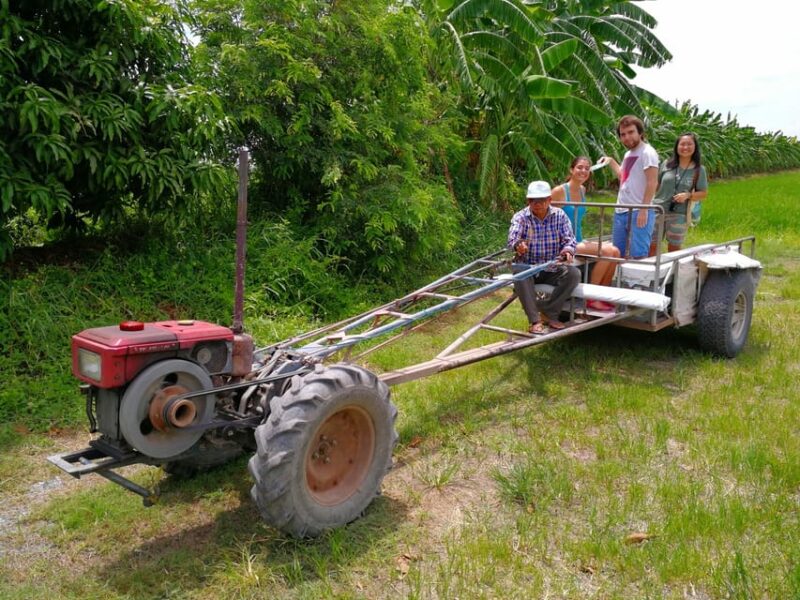 From Bangkok: Mahasawat Canal and Organic Fruit Farm Tour - Why This Tour Works Well