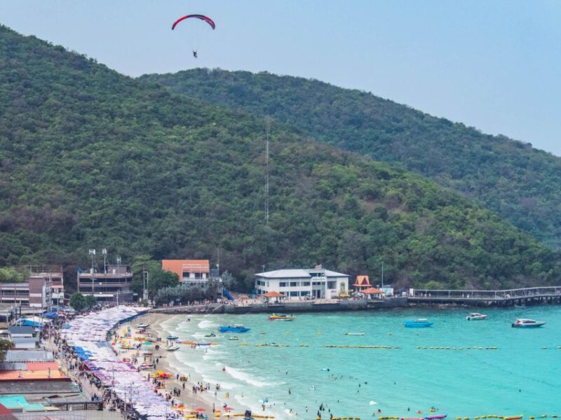 From Bangkok: Pattaya Koh Larn & Sanctuary of Truth Day Trip - Final Thoughts: Who Will Love This Tour?