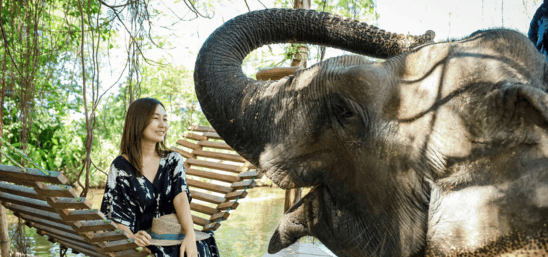 From Bangkok/Pattaya: Private Customized Pattaya Day Trip - Final Words