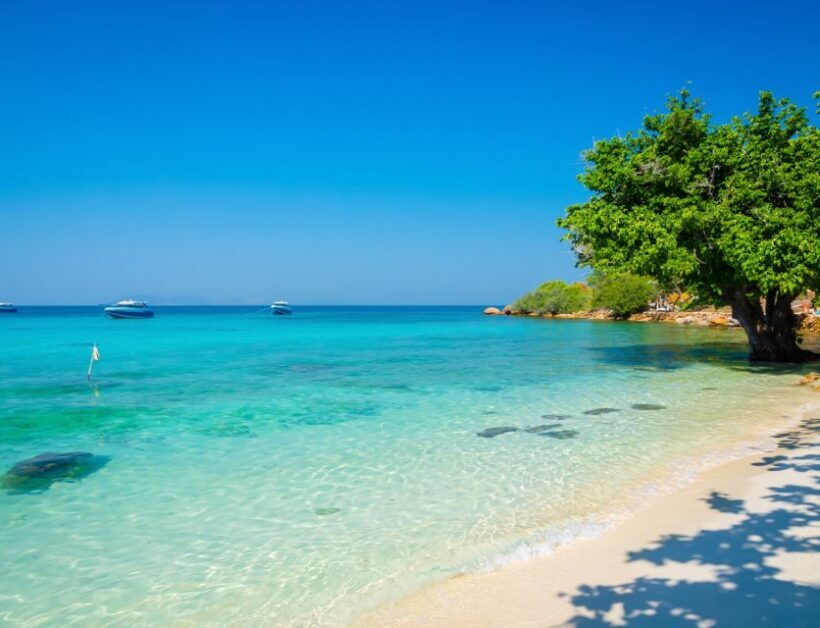 From Bangkok: Private Day Trip to Koh Larn An Island Escape - The Value of a Private, Flexible Tour